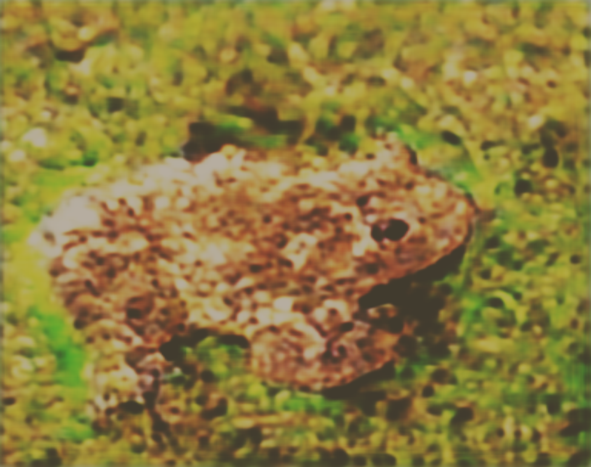 [2102 02996] Deep Texture Aware Features For Camouflaged Object Detection