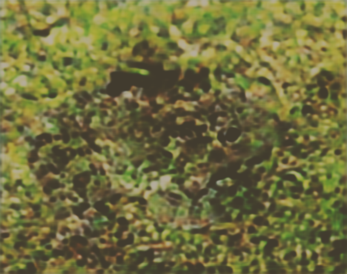 [2102 02996] Deep Texture Aware Features For Camouflaged Object Detection