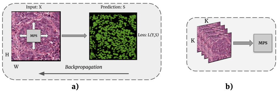 [2102.06900] Segmenting two-dimensional structures with strided tensor ...