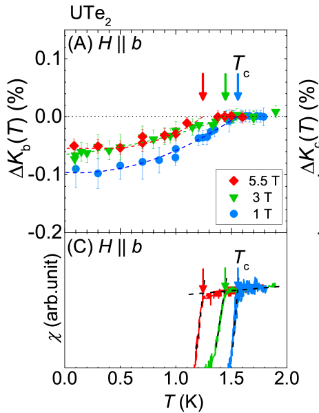 [2103.02876] Anisotropic response of spin susceptibility in the ...