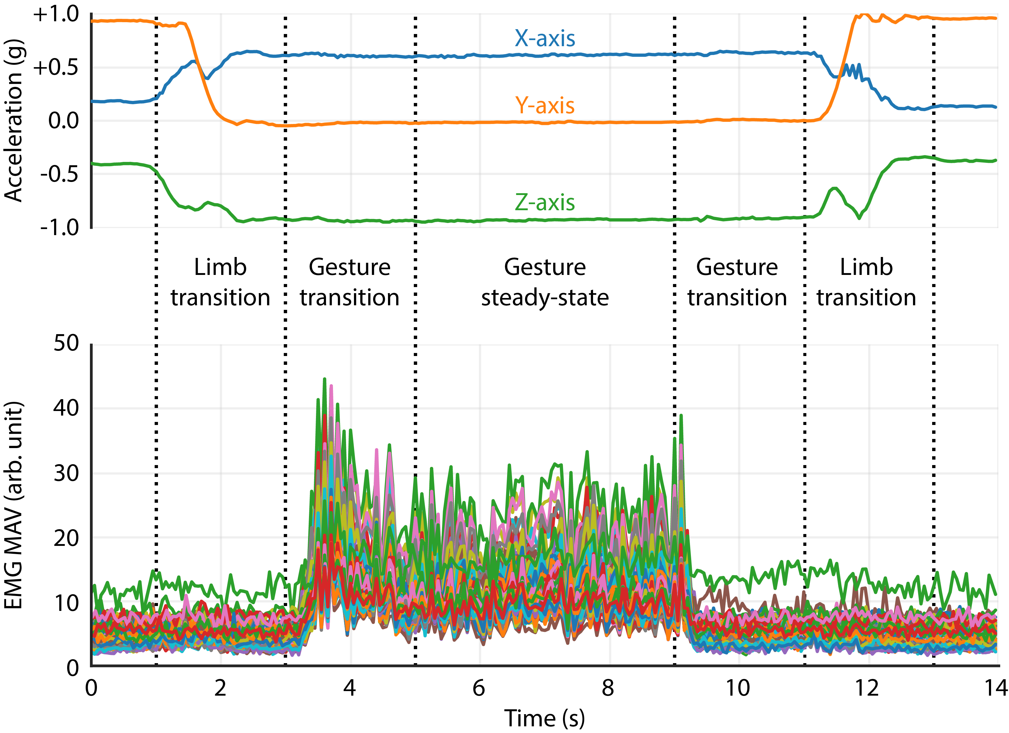 [2103.05267] Memory-Efficient, Limb Position-Aware Hand Gesture Recognition using ...