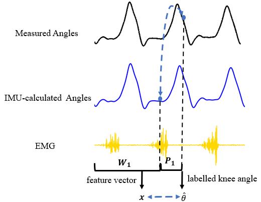 [2103.11910] Continuous Prediction of Lower-Limb Kinematics From Multi-Modal Biomedical Signals