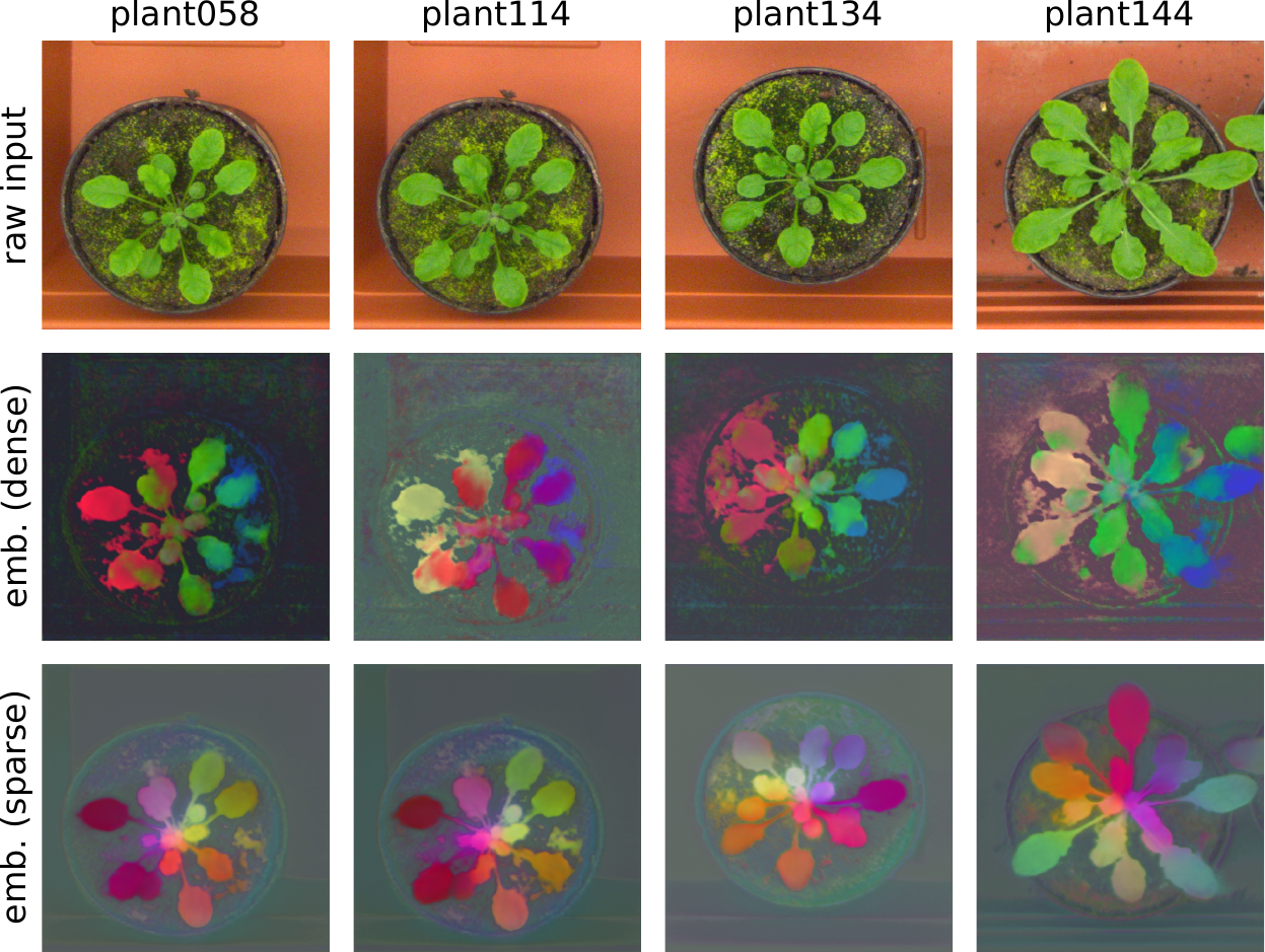 [2103.14572] Sparse Object-level Supervision for Instance Segmentation with Pixel Embeddings