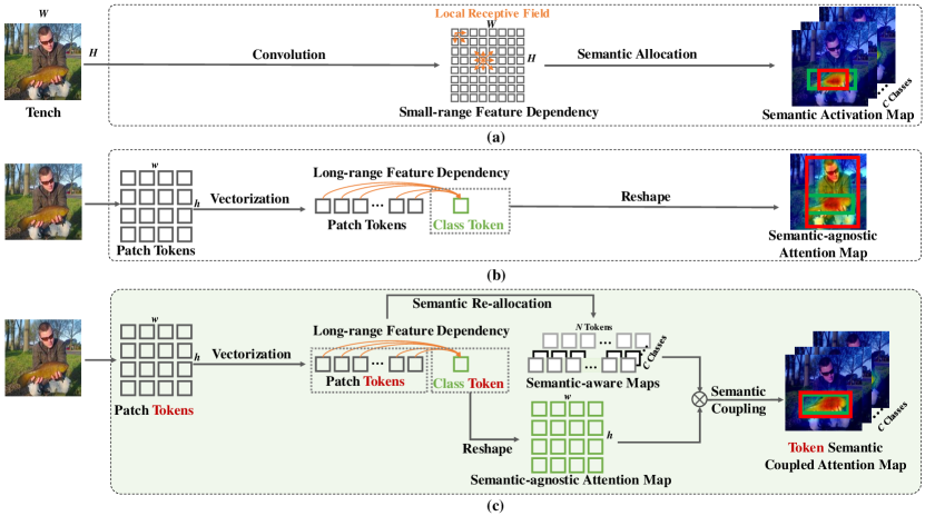 [2103.14862] TS-CAM: Token Semantic Coupled Attention Map for Weakly Supervised Object Localization