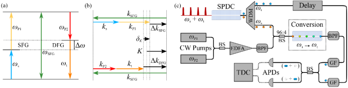[2104.01881] Single photon frequency conversion for frequency multiplexed quantum networks in ...