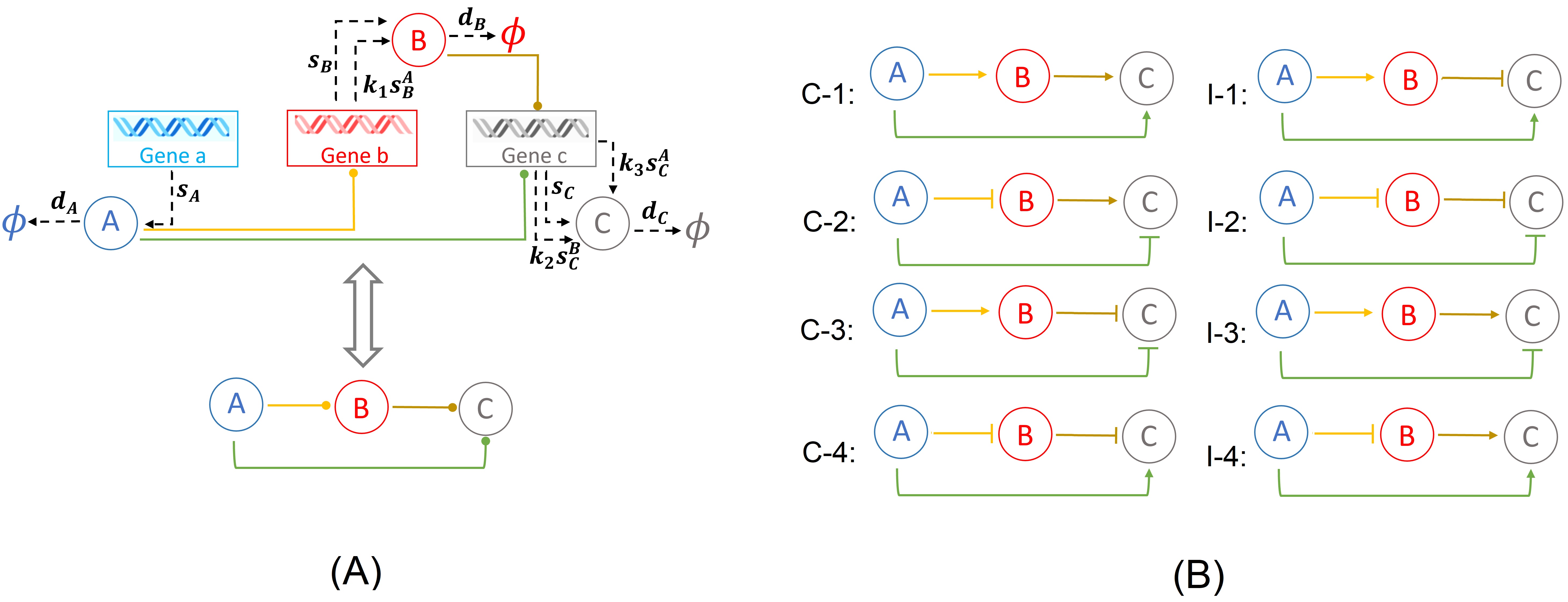 [2104.02672] Exact Probability Landscapes of Stochastic Phenotype ...