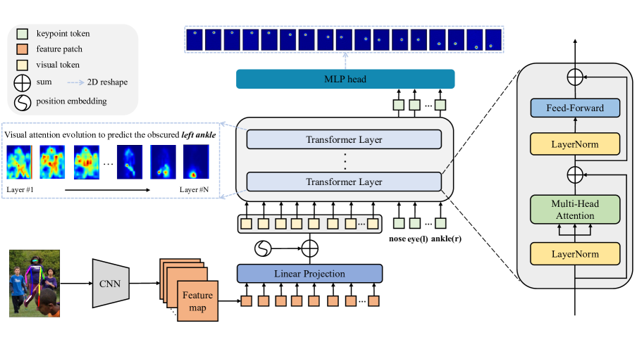 [2104.03516] TokenPose: Learning Keypoint Tokens for Human Pose Estimation