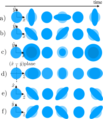 [2104.10119] Polarization distortions of lensed gravitational waves