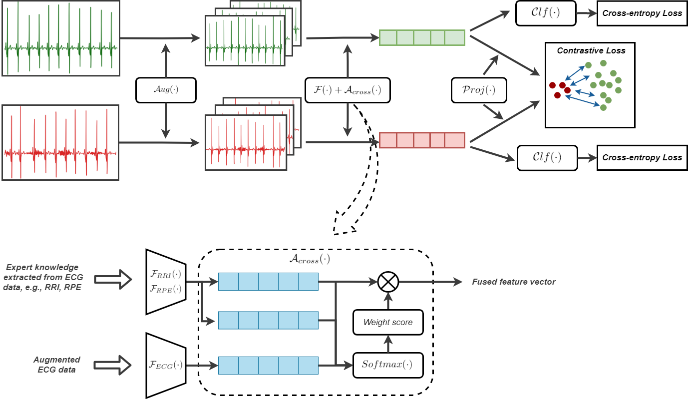 [2105.03037] ConCAD: Contrastive Learning-based Cross Attention for ...