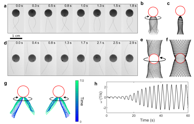 [2105.04096] Low-Reynolds-number, bi-flagellated Quincke swimmers with ...
