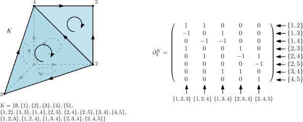 [2105.05388] On discrete gradient vector fields and Laplacians of ...