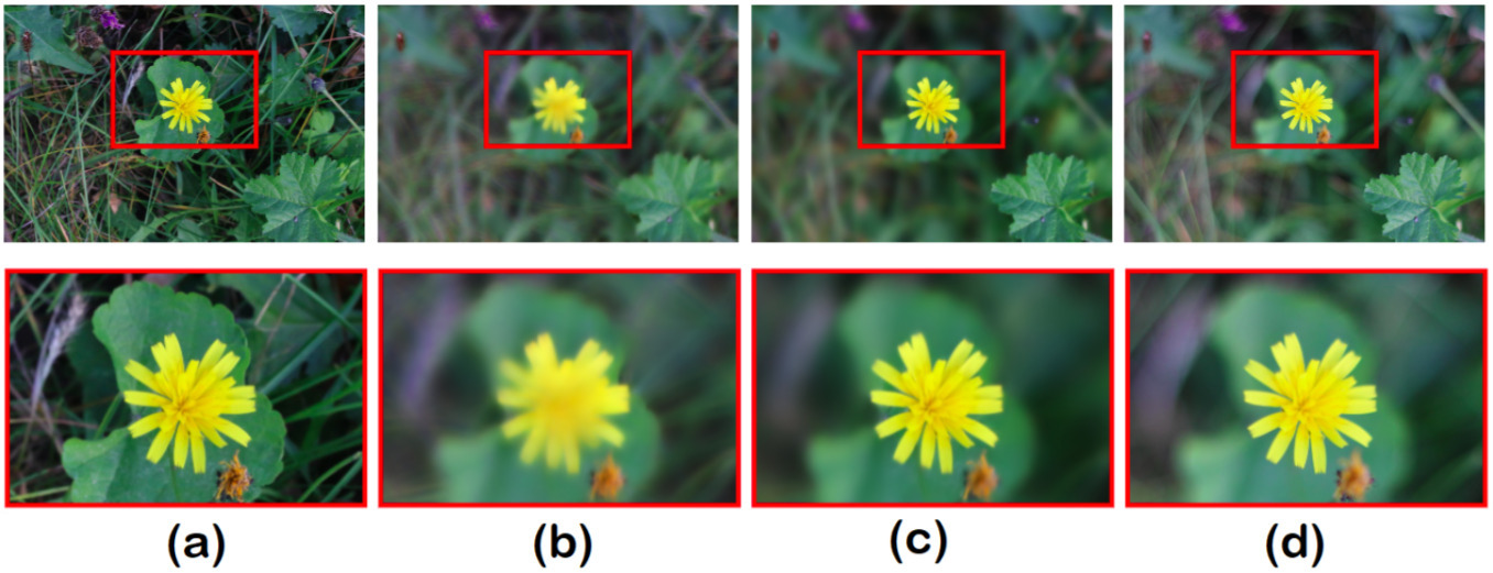 [2105.07174] Stacked Deep Multi-Scale Hierarchical Network for Fast Bokeh Effect Rendering from ...