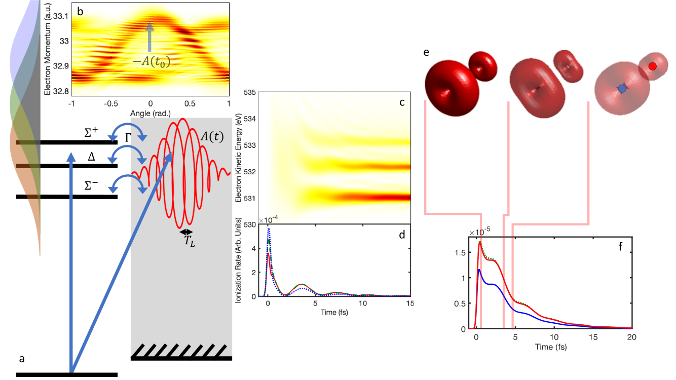[2105.08854] Attosecond Coherent Electron Motion in Auger-Meitner Decay