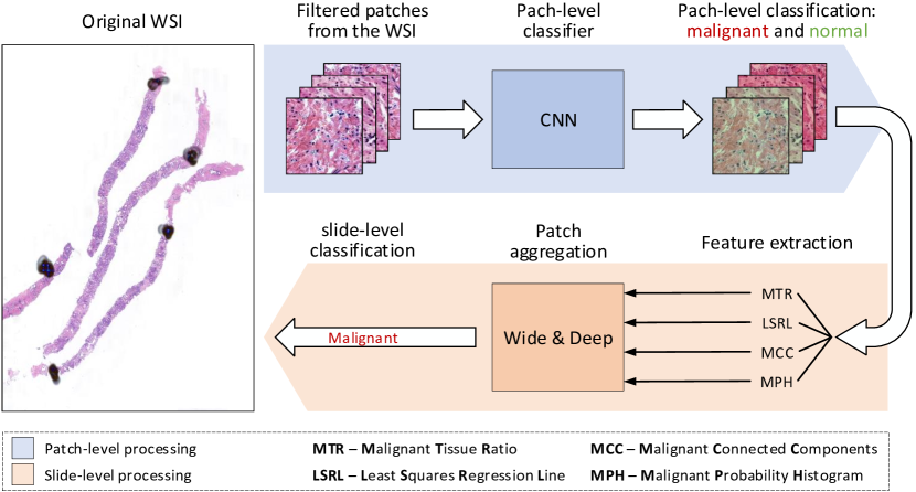 [2105.09974] Wide & Deep neural network model for patch aggregation in ...