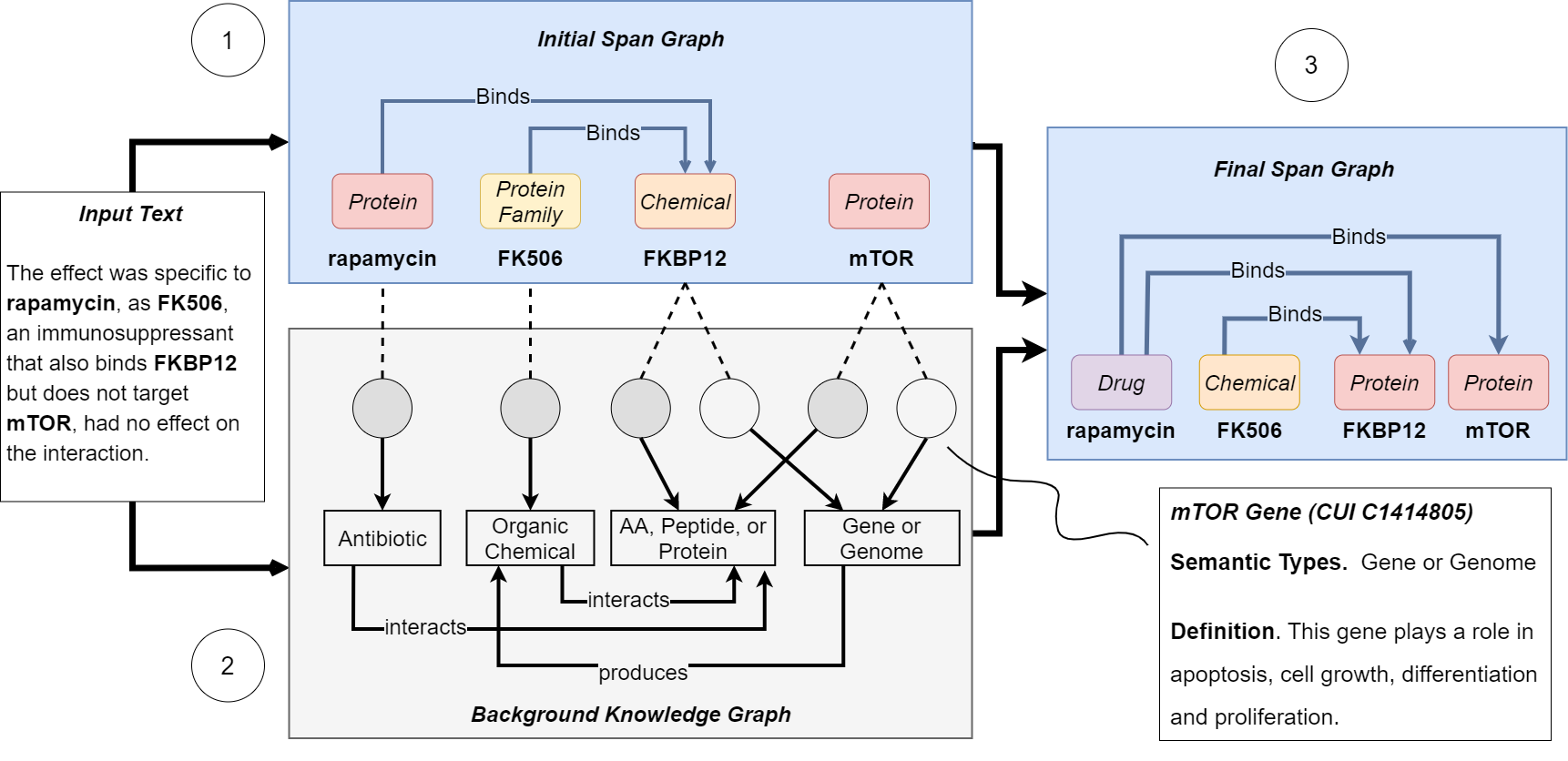 [2105.13456] Joint Biomedical Entity and Relation Extraction with Knowledge-Enhanced Collective ...