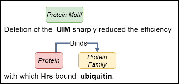 [2105.13456] Joint Biomedical Entity and Relation Extraction with Knowledge-Enhanced Collective ...