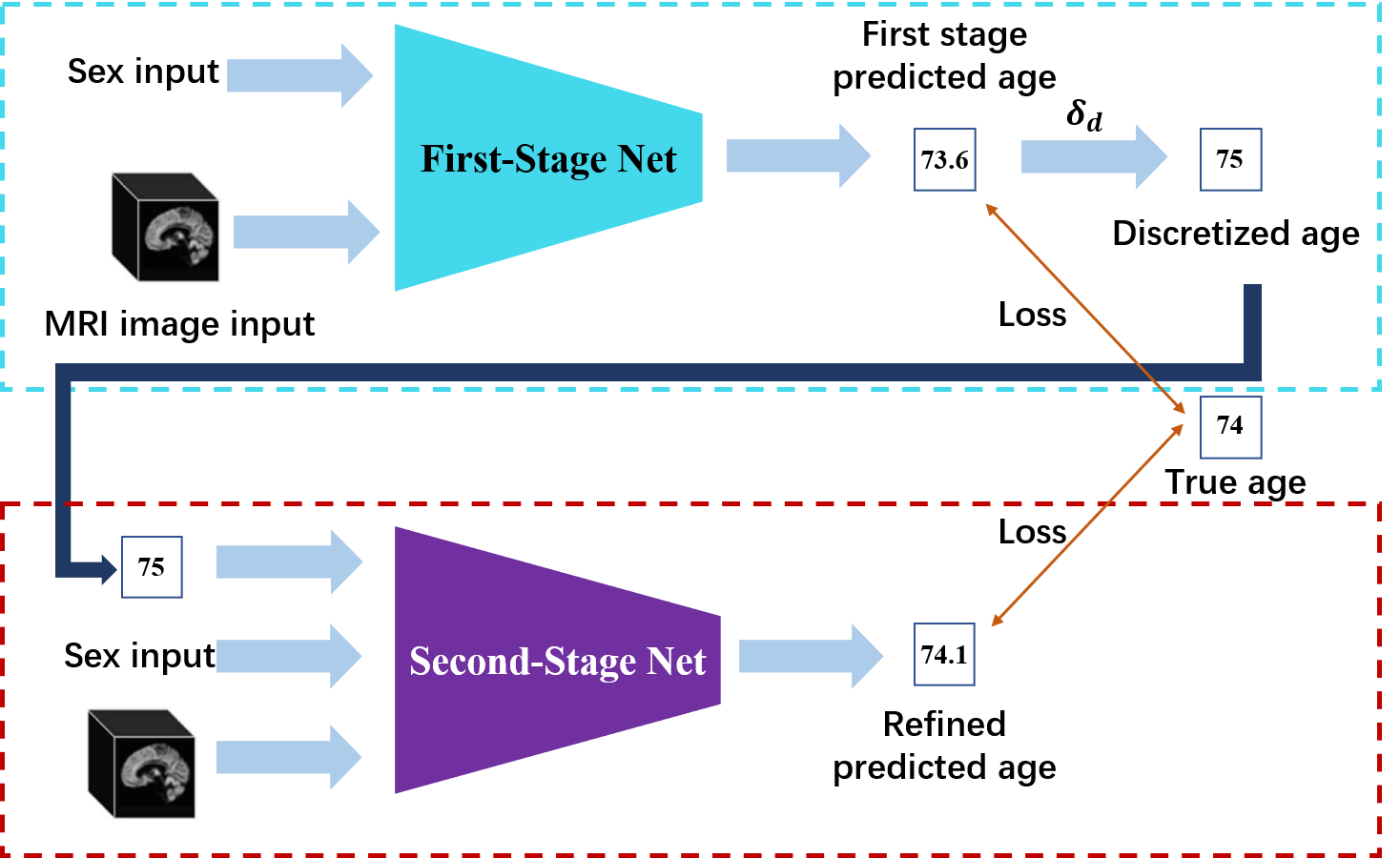 [2106.03052] Brain Age Estimation From MRI Using Cascade Networks with ...