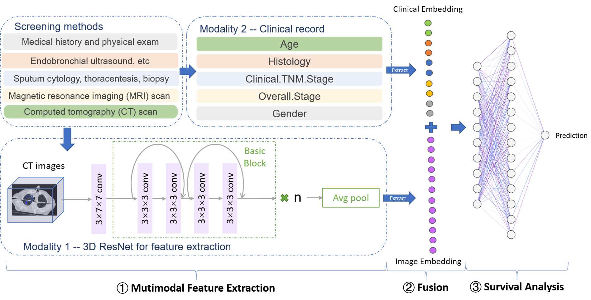 [2106.06744] DeepMMSA: A Novel Multimodal Deep Learning Method for Non-small Cell Lung Cancer ...