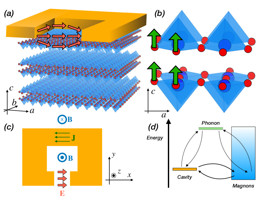 [2106.07828] Cavity magnon-polaritons in cuprate parent compounds