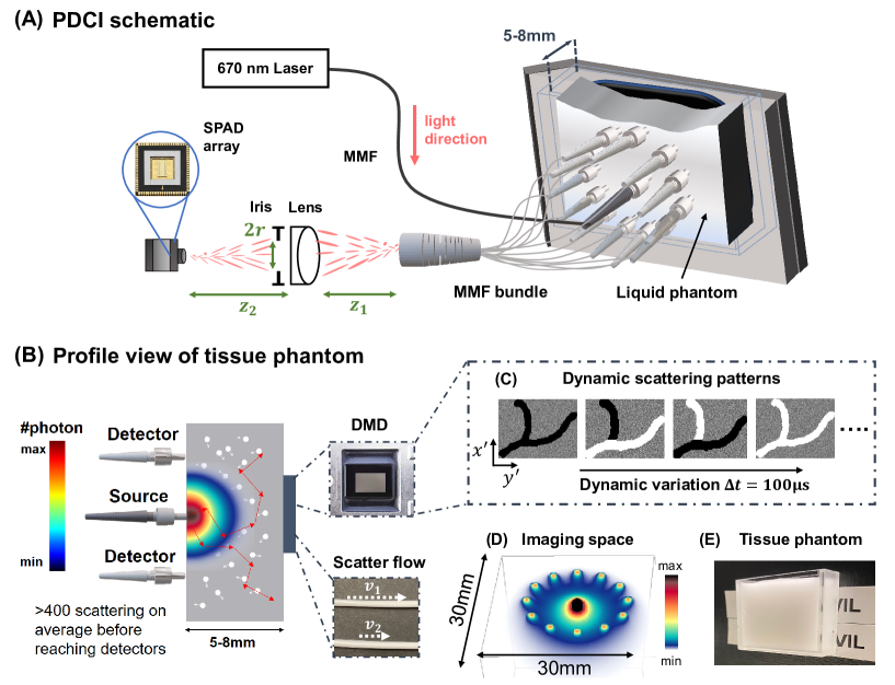 [2107.01422] Imaging dynamics beneath turbid media via parallelized single-photon detection