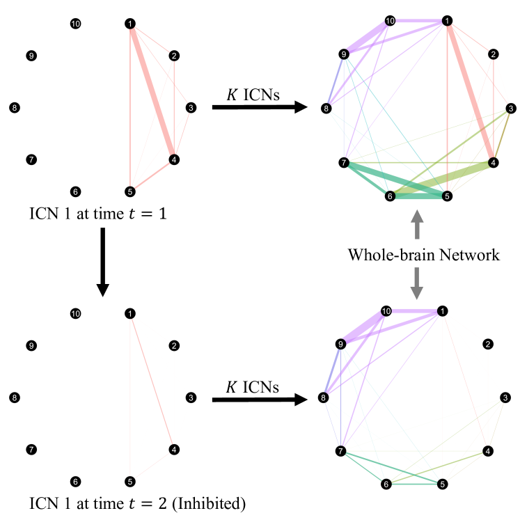 [2107.09160] BICNet: A Bayesian Approach for Estimating Task Effects on Intrinsic Connectivity ...