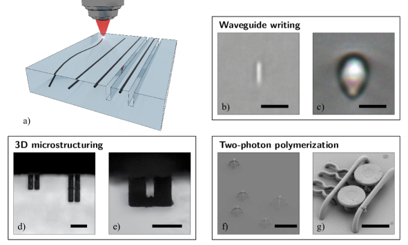[2110.06162] Femtosecond laser micromachining for integrated quantum ...