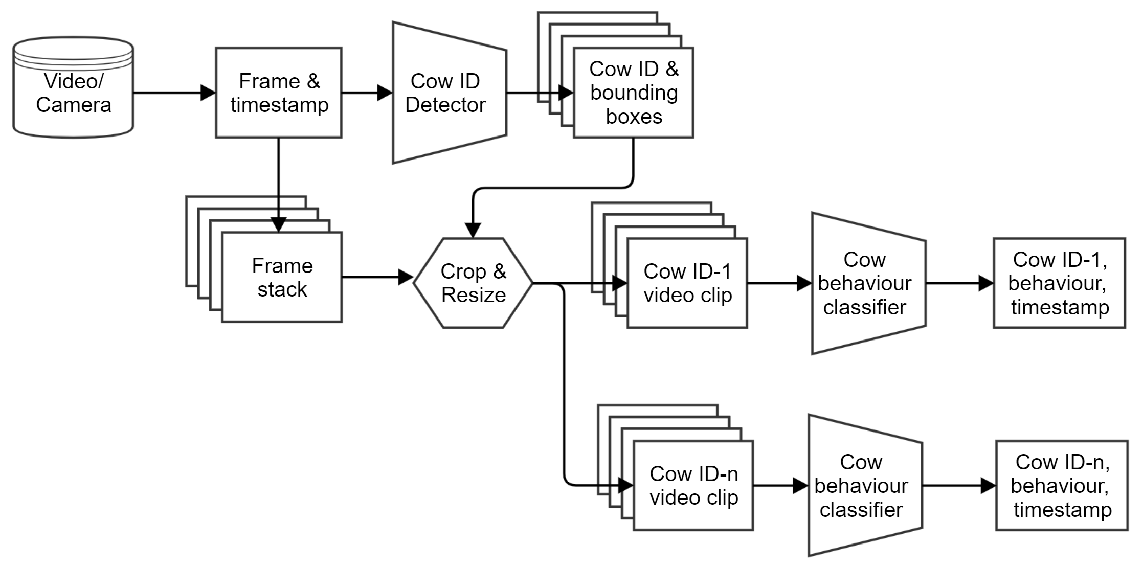 [2110.07103] Video-based cattle identification and action recognition ...