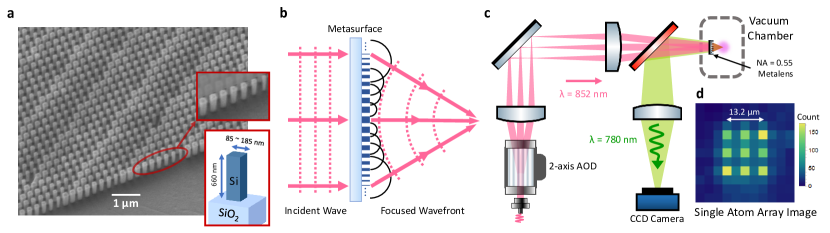 [2110.11559] Single atom trapping in a metasurface lens optical tweezer