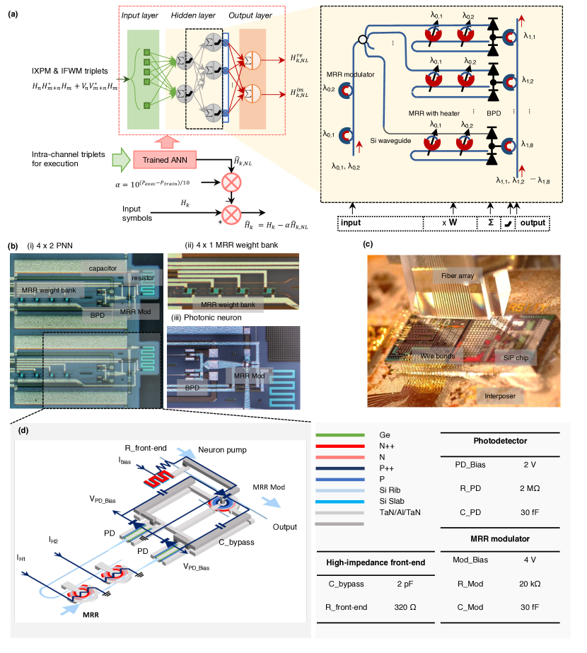 [2110.12833] Silicon photonic-electronic neural network for fibre ...