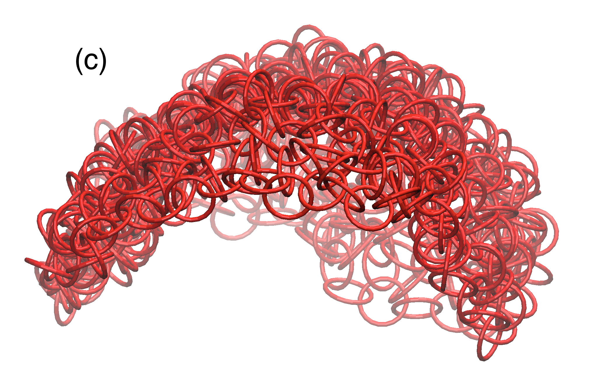 [2110.13111] Flatness and Intrinsic Curvature of Linked-Ring Membranes