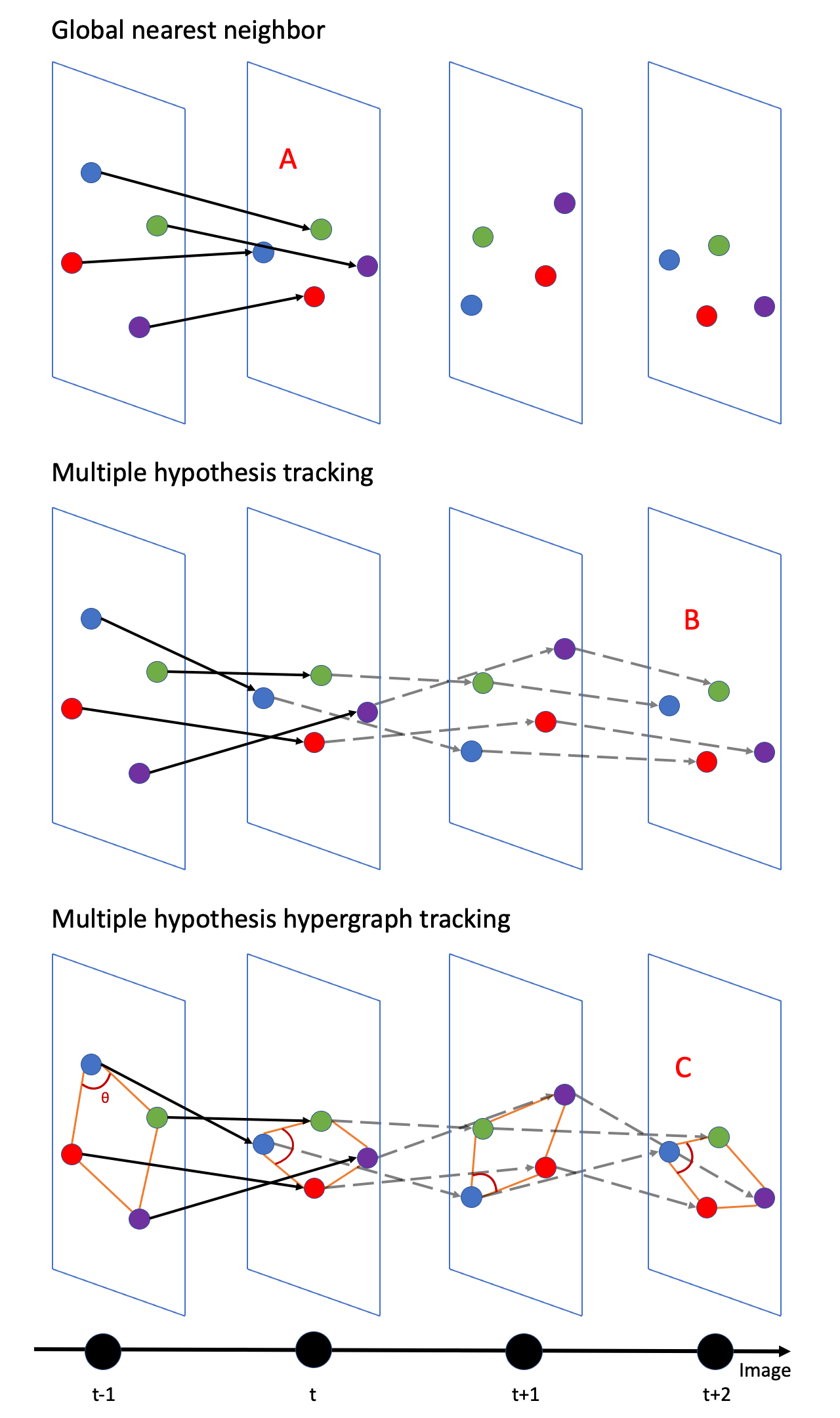 [2111.06425] Multiple Hypothesis Hypergraph Tracking for Posture Identification in Embryonic ...