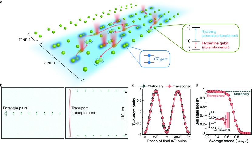 [2112.03923] A quantum processor based on coherent transport of entangled atom arrays