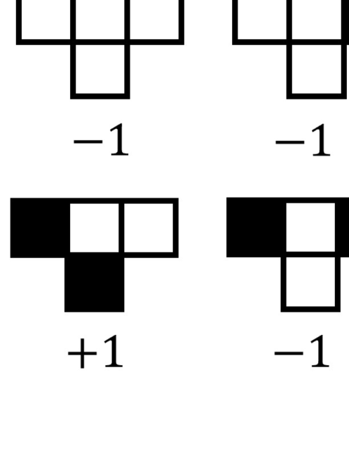 [2201.09219] Permutation Binary Neural Networks: Analysis of Periodic Orbits and Its Applications