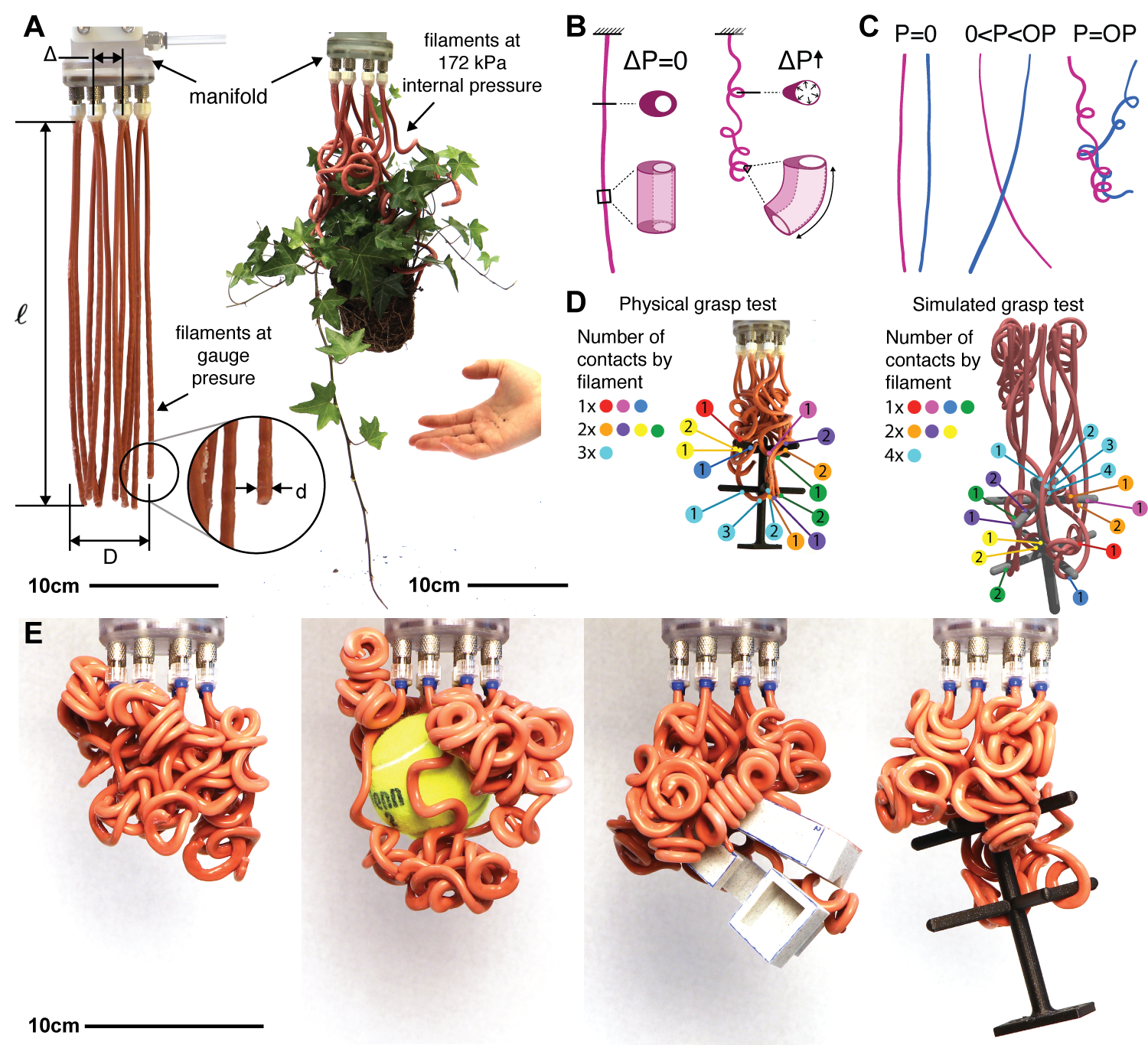 [2202.00761] Active entanglement enables stochastic, topological grasping