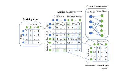 [2203.01884] Graph Neural Networks for Multimodal Single-Cell Data Integration