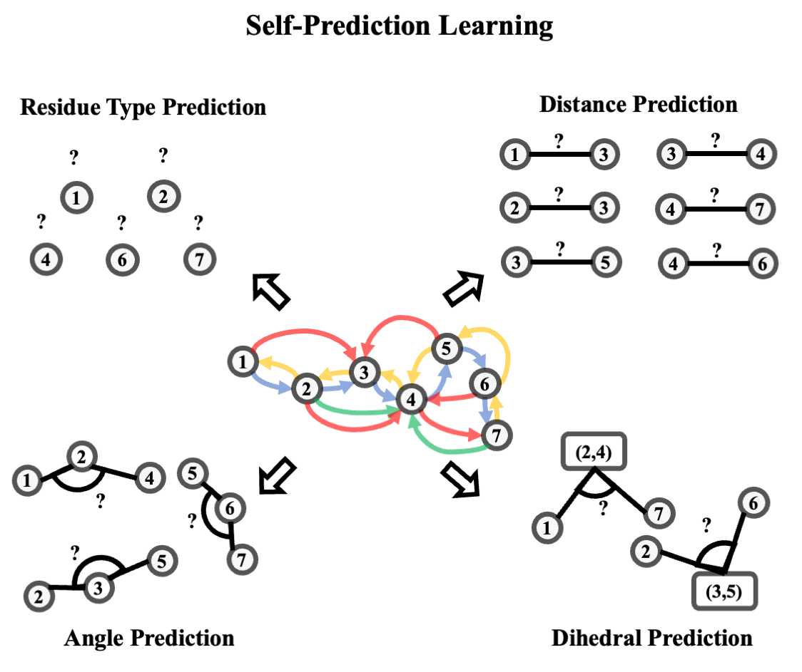 [2203.06125] Protein Representation Learning by Geometric Structure ...