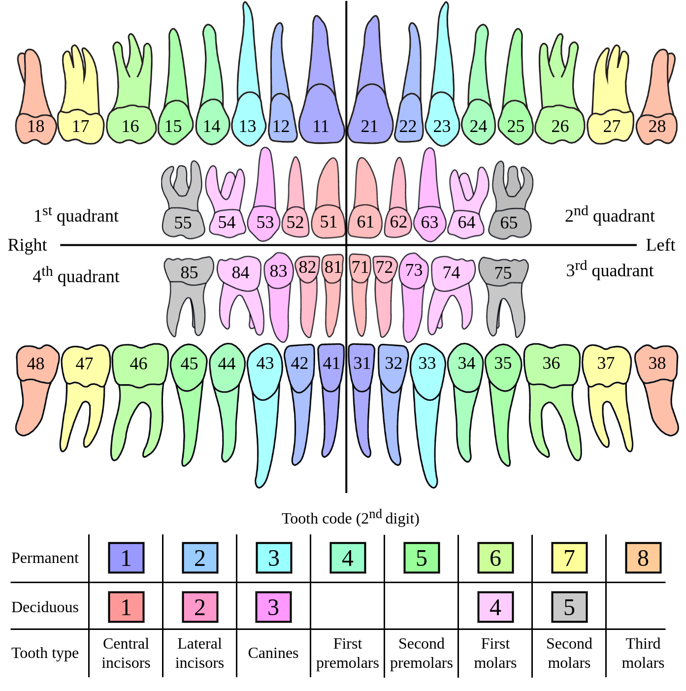[2203.15856] OdontoAI: A human-in-the-loop labeled data set and an ...