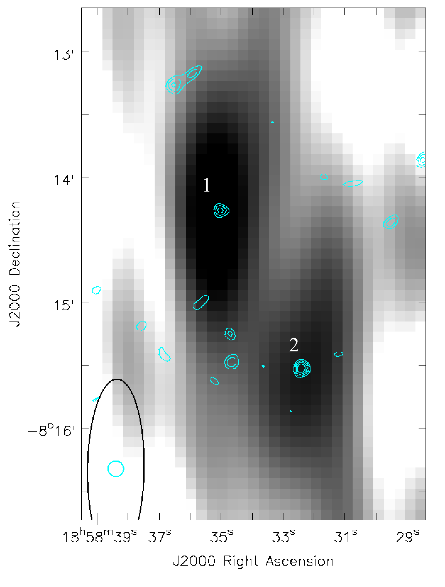 [2204.01598] Long term radio monitoring of the neutron star X-ray ...