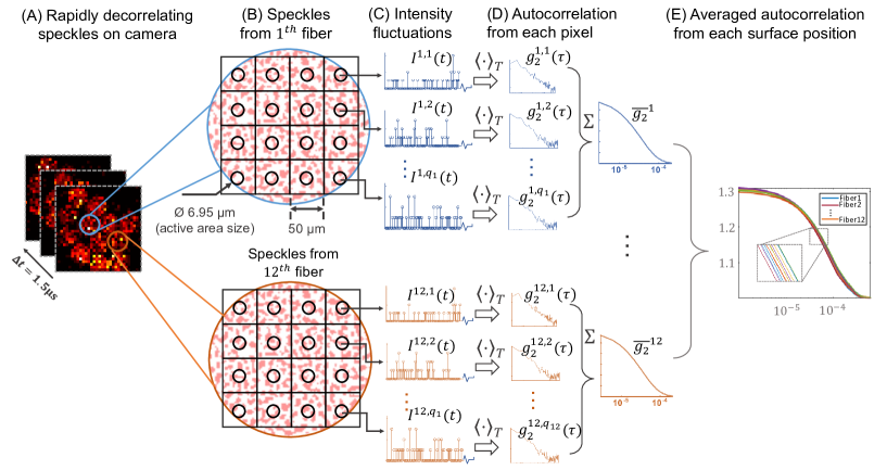 [2204.01733] Transient motion classification through turbid volumes via parallelized single ...