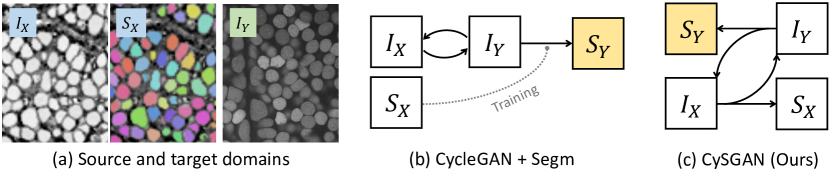 [2204.03082] Instance Segmentation of Unlabeled Modalities via Cyclic Segmentation GAN