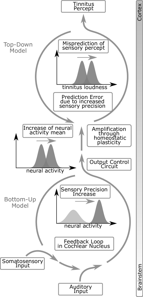 [2204.03354] Predictive coding and stochastic resonance as fundamental principles of auditory ...