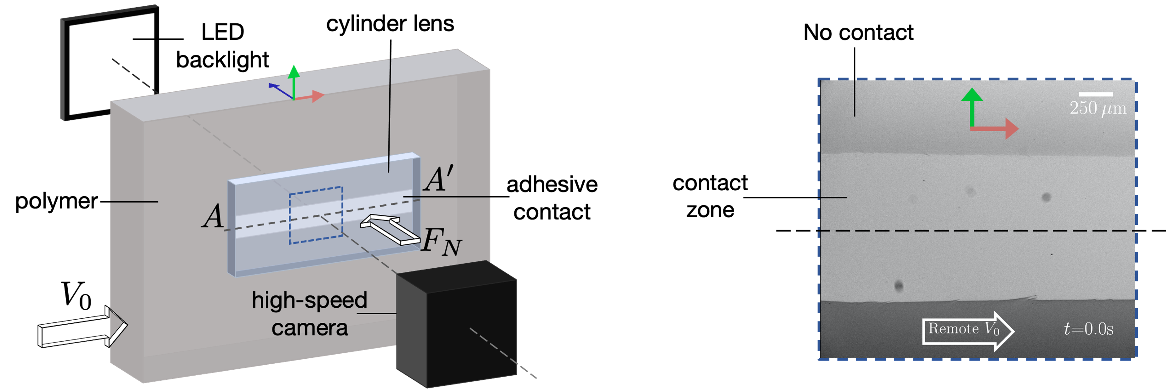 [2206.03209] Fifty years of Schallamach waves: From rubber friction to ...