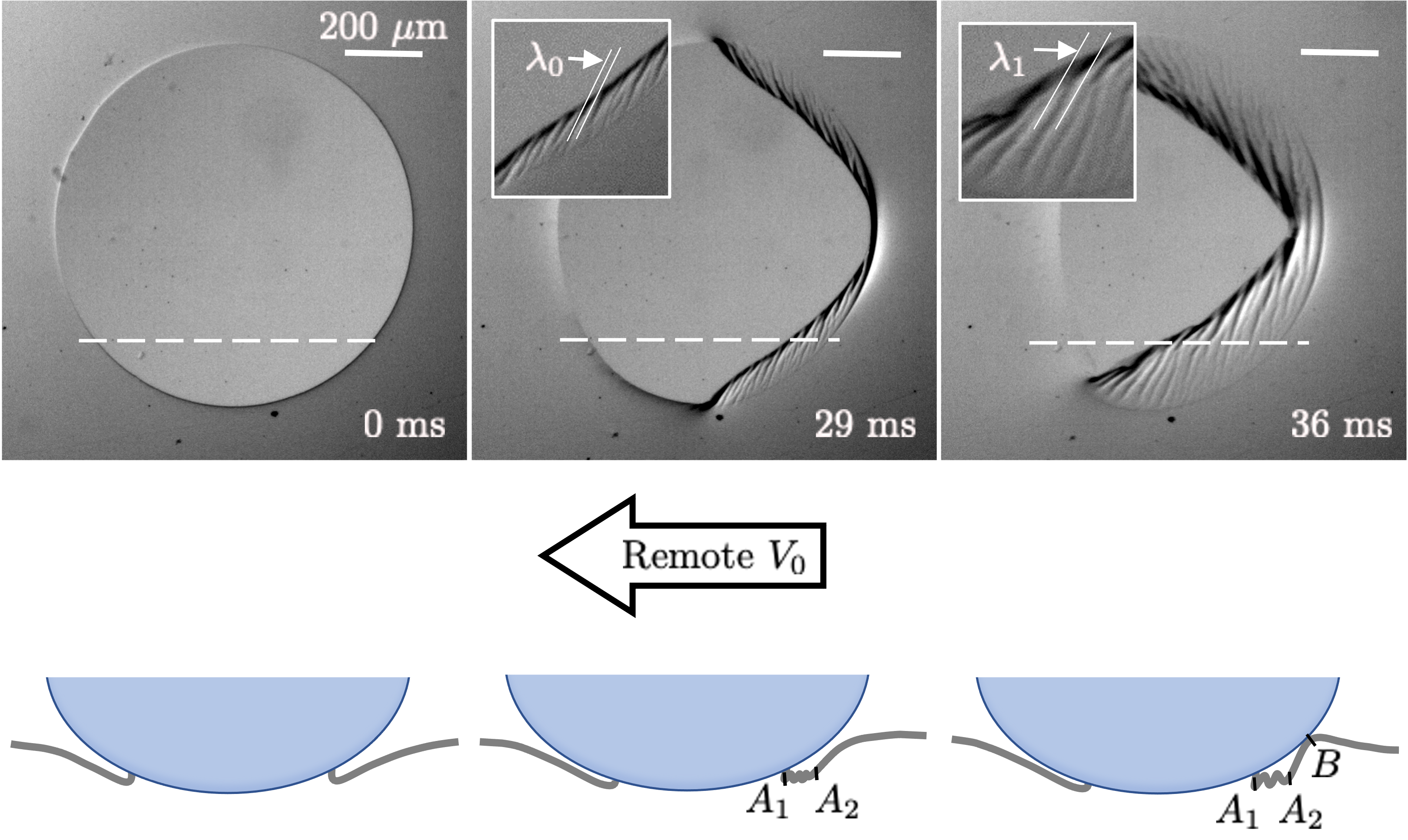 [2206.03209] Fifty years of Schallamach waves: From rubber friction to ...