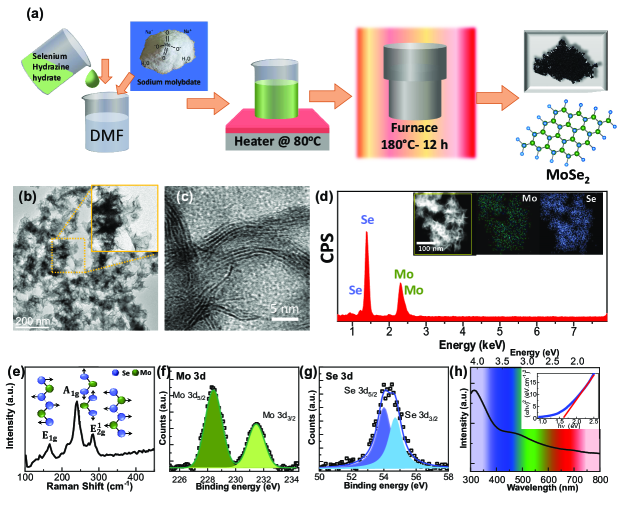[2206.12564] Nonlinear coherent light-matter interaction in 2D MoSe2 ...