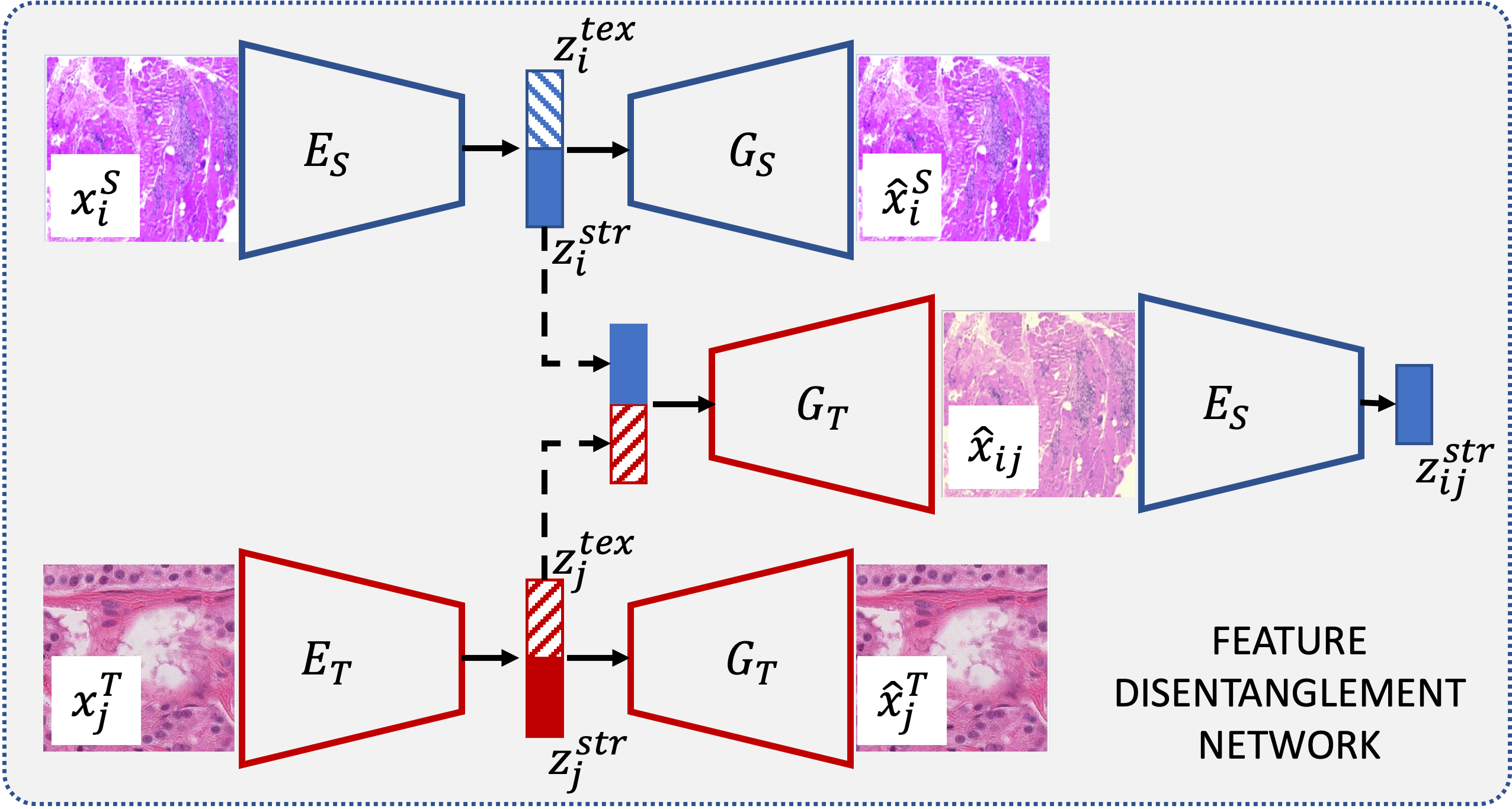 [2206.13123] Unsupervised Domain Adaptation Using Feature Disentanglement And GCNs For Medical ...