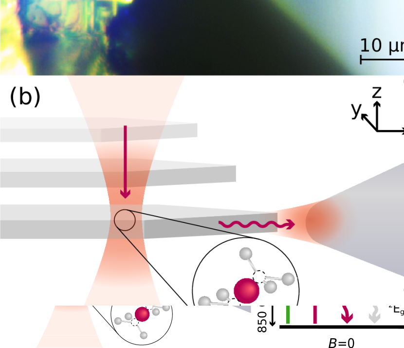 [2206.15239] Photonic indistinguishability of the tin-vacancy center in ...