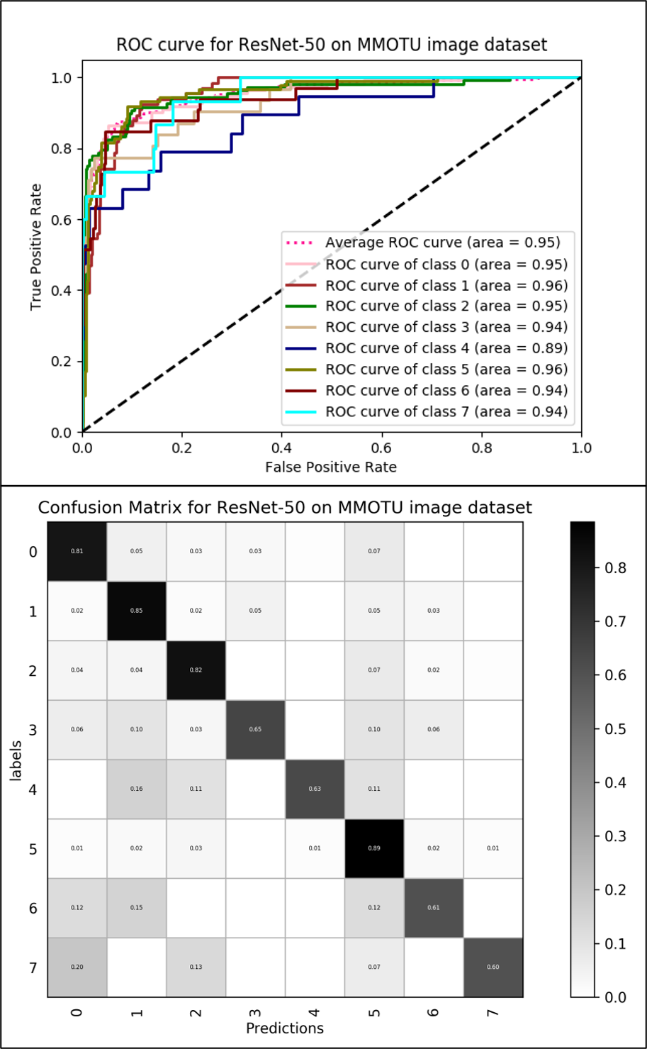 [2207.06799] MMOTU: A Multi-Modality Ovarian Tumor Ultrasound Image ...