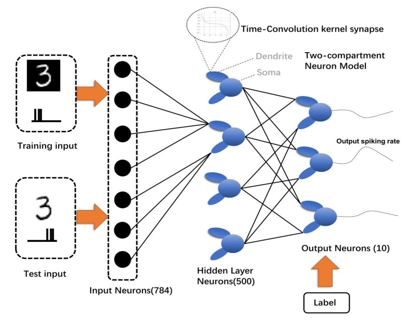 [2207.08533] BrainCog: A Spiking Neural Network based Brain-inspired Cognitive Intelligence ...