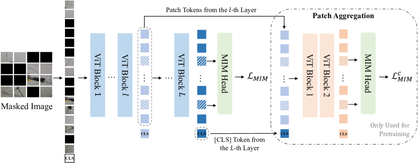 [2208.06366] BEiT v2: Masked Image Modeling with Vector-Quantized Visual Tokenizers