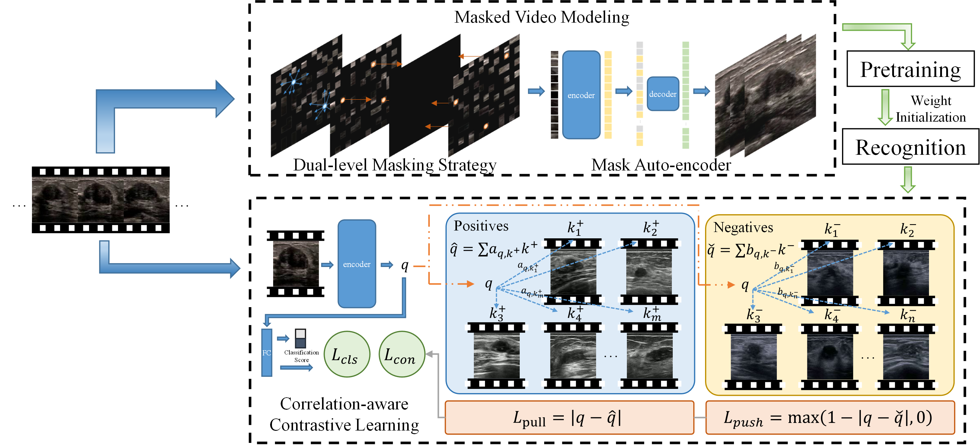 [2208.09881] Masked Video Modeling with Correlation-aware Contrastive Learning for Breast Cancer ...